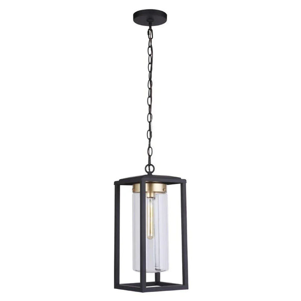 Craftmade Neo 1 Light Outdoor Pendant in Midnight/Satin Brass — Pacific ...