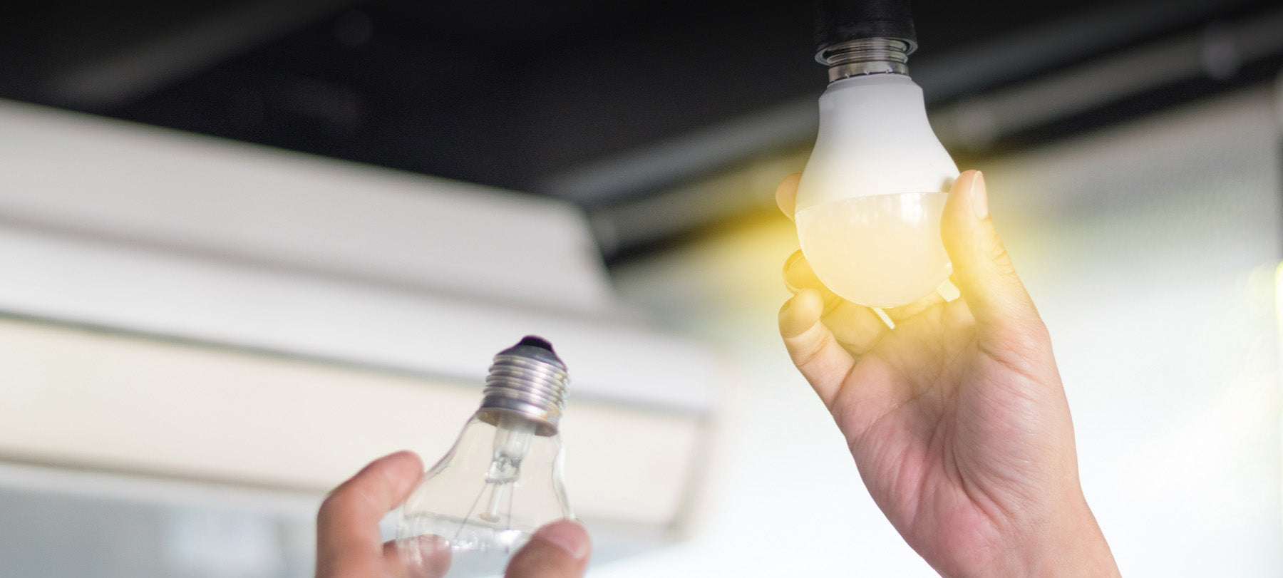 Pacific Lamp Wholesale LED lighting and services